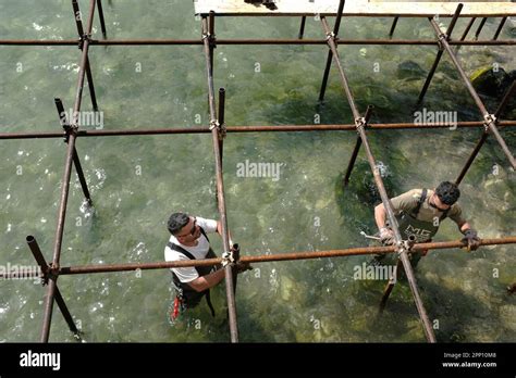 Constructing Building Erecting Scaffolding In The Sea Beach To Build A Platform For The Town