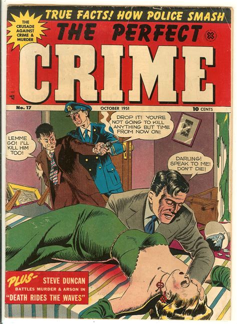 Perfect Crime 17