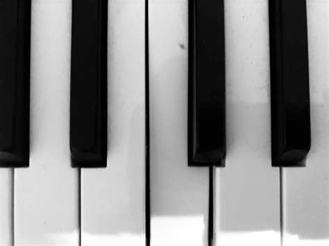 Free Cs Wavs For Your Sampler R Microfreak