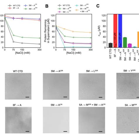 Sequence Composition Of The Tdp 43 C Terminal Domain Ctd A Cartoon Download Scientific