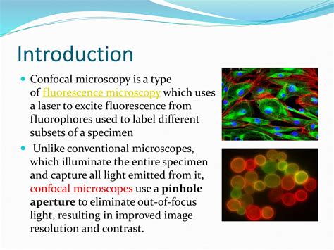 What Is Confocal Microscopy