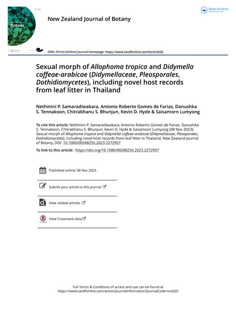 Pdf Sexual Morph Of Allophoma Tropica And Didymella Coffeae Arabicae Didymellaceae