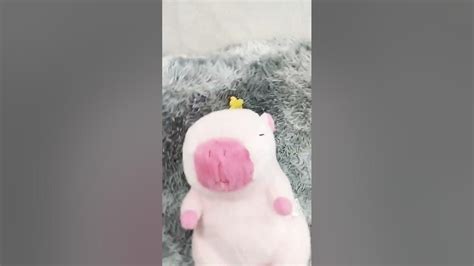 Capbara Cute Hottrendnew Youtube