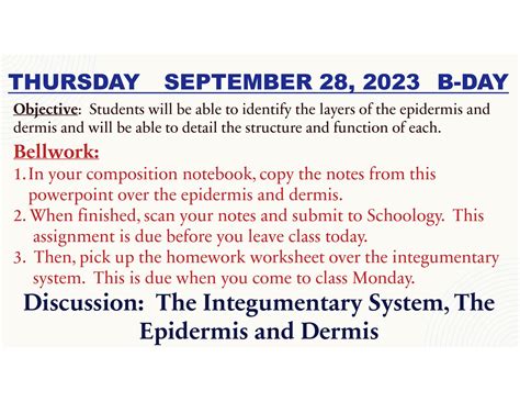 Solution Notes Epidermis And Dermis 1 Studypool