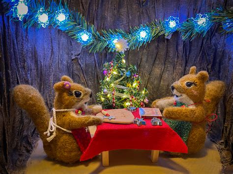 Ruby Christmas 5 Toy Photographers