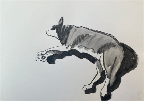 Daisy Sleeping Ii Todd Fuller