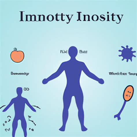 How Does The Immune System Work From Overview To Boosting Your Immune System The