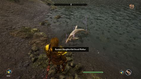 How To Get Slaughterfish Scales In Oblivion Remastered