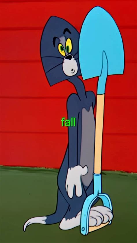 Sanchez Stans Sanchezstans • Instagram Photos And Videos