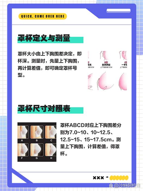 胸型大小区分，看懂罩杯abcd