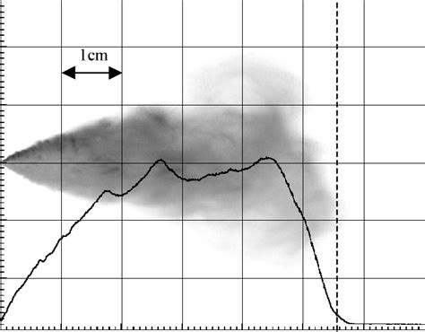 Image Intensity Profile Download Scientific Diagram