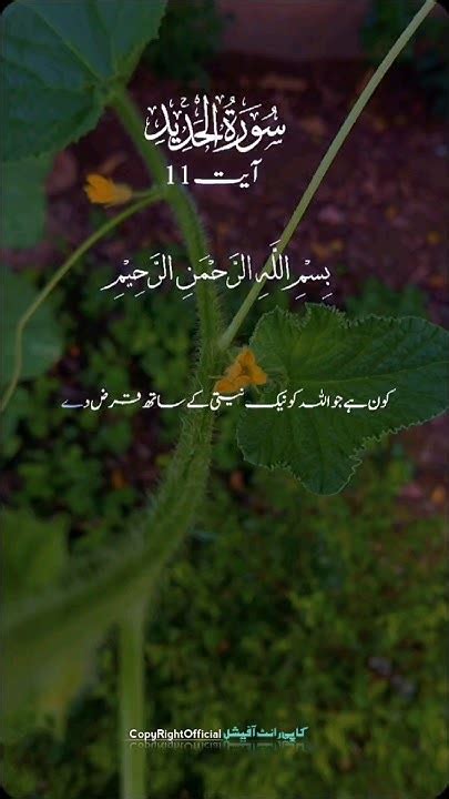 کون ہے جو الله کو نیک نیتی کے ساتھ قرض دے۔ Trending Youtube