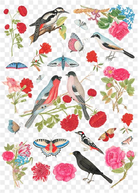 Free Photos Png Stickers Wallpapers And Backgrounds Rawpixel