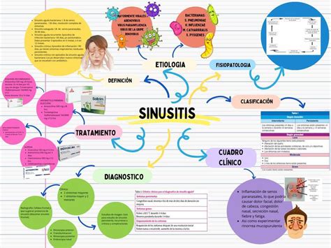 Sinusitis Abigail Hernandez Ramírez Udocz