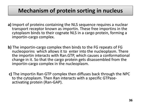Protein Sorting Through Non Secretory Pathway Ppt