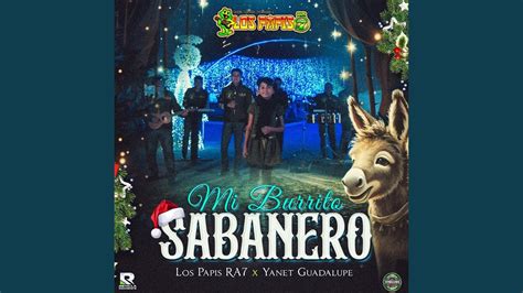 Mi Burrito Sabanero Youtube