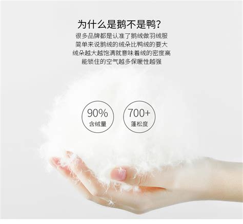 新款欧美羽绒服休闲西服款白鹅绒轻薄羽绒服女修身有型鹅绒服 阿里巴巴