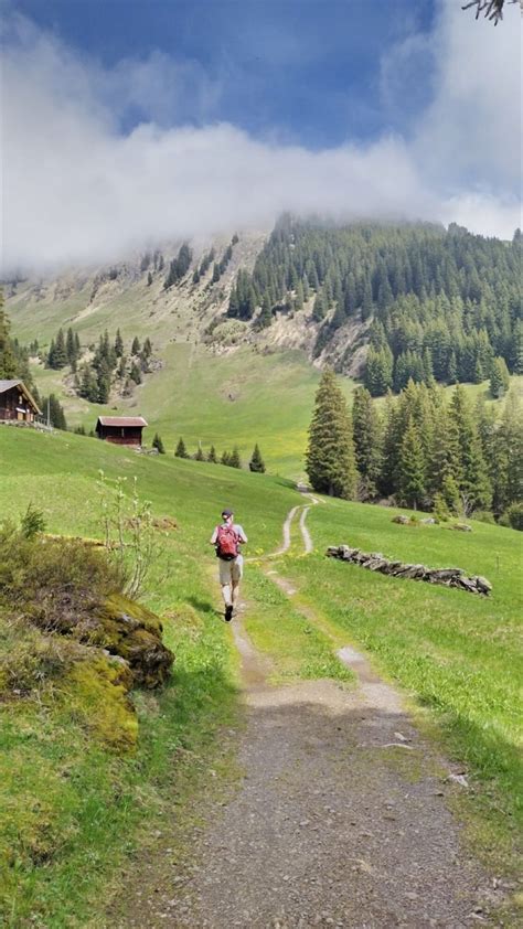 En Het Is Nog Waar Ook Simon Franssen