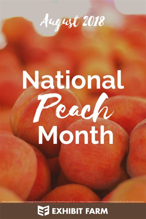 What Month Are Peaches In Season At Brianna Hort Blog