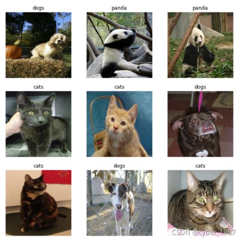 【tensorflow 2】使用迁移学习（mobilenet）完成图像分类任务 tensorflow2 mobilenet csdn博客