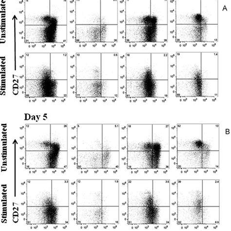 Proliferation Of Memory B Cells Total Pbmc Were Stained With Cfse And