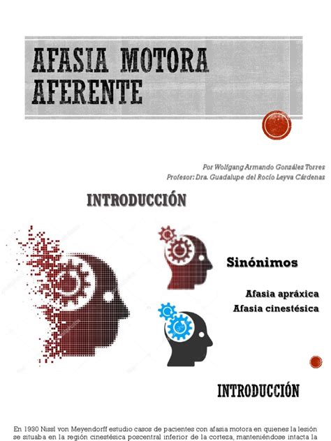 Afasia Motora Aferente Afasia Cognición