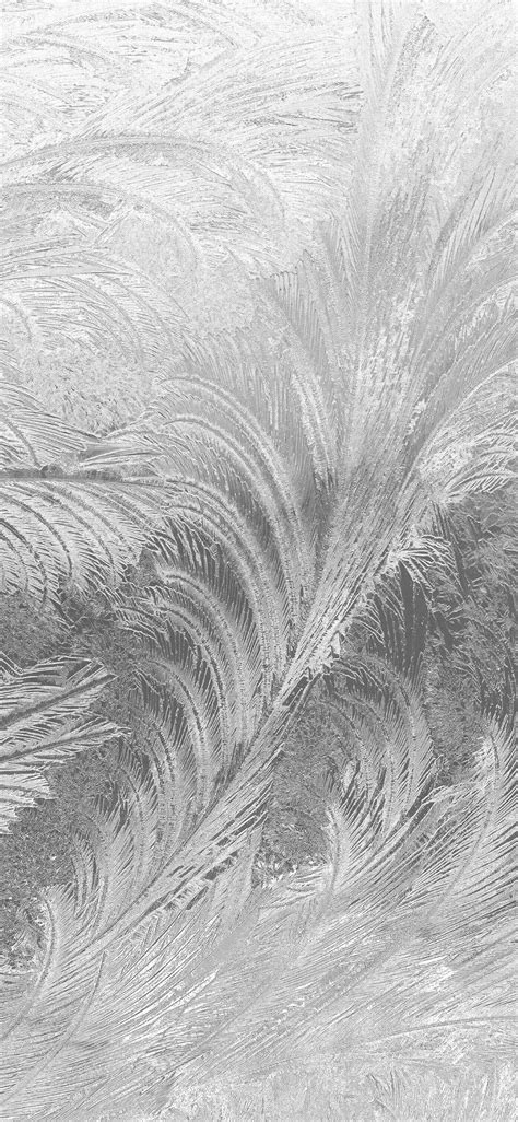Feather Iphone Wallpapers Top Free Feather Iphone Backgrounds