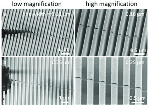 Typical Sem Micrographs Of Adherent Cell Pseudopodia On A 018 μm And