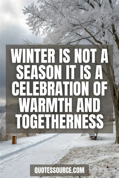 Best 110 Winter Quotes Beautiful Messages