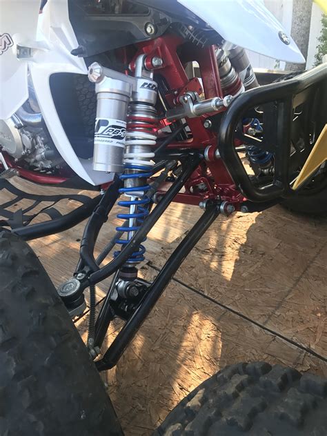 Shocks Pep Shocks For Only 000