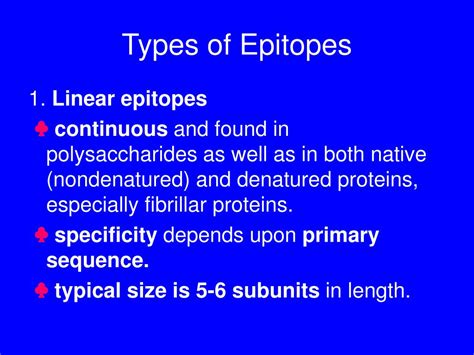 Ppt Essentials Of Antigens In Immunology Powerpoint Presentation Free Download Id886466