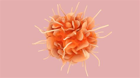 Dendritic Cell Model Turbosquid 2217393