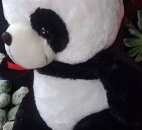 Small Size Cute Panda 16 Ft Farhaanipk