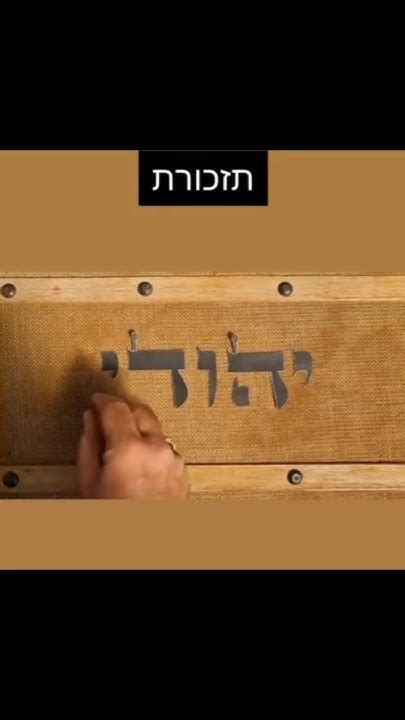 אביב אלוש בחיזוק עוצמתי🙌🏻 Youtube