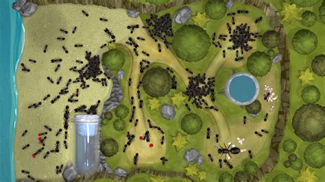 Ant Farm Simulator On Steam