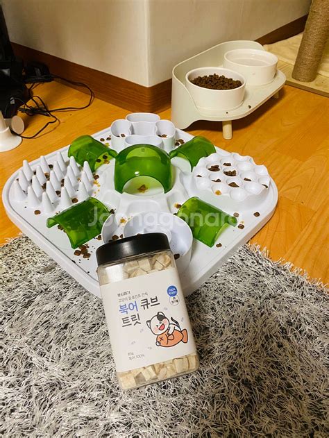 고양이 하겐 캣잇 먹이퍼즐 복어큐브트릿 고양이용품 중고나라
