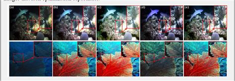 Figure 11 From Multi Scale Fusion Framework Via Retinex And