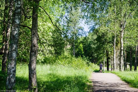 En Försommarutflykt Med Mina Tre Killar Stora Små Äventyr