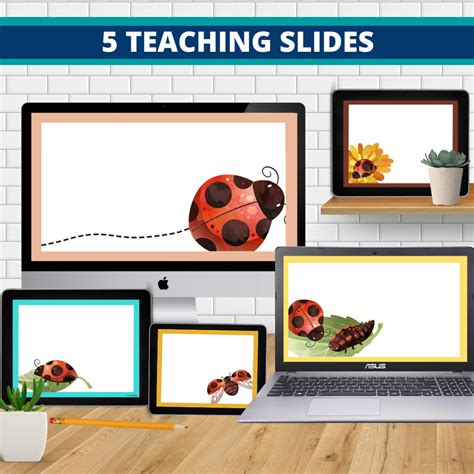 Ladybug Classroom Theme Decor Bundle Clutter Free Classroom Store