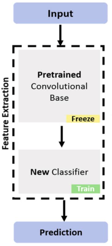beginners guide to finetuning large language models llms quantum