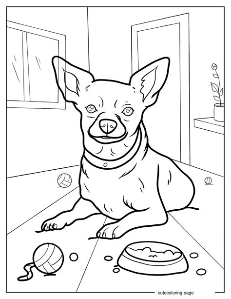 Chihuahua Coloring Pages20 Free Printable Coloring Pages Cute
