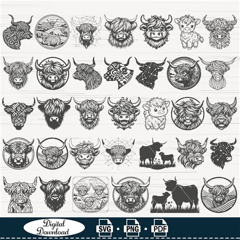 Highland Cow Svg Highland Cow Png Highland Cow Clipart Highland Cow