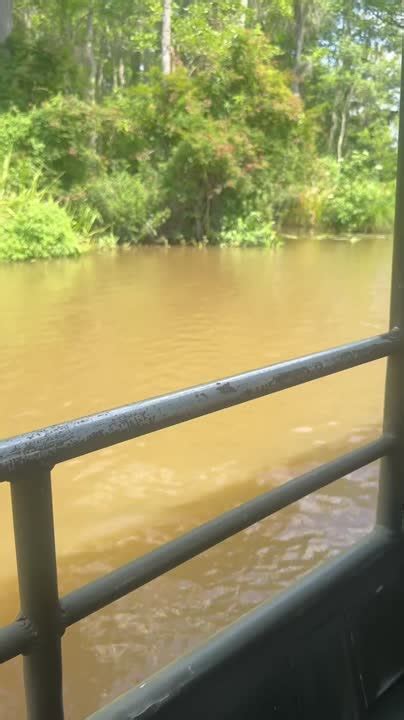 Donnell Suggs On Linkedin A Trip Down The Bayou