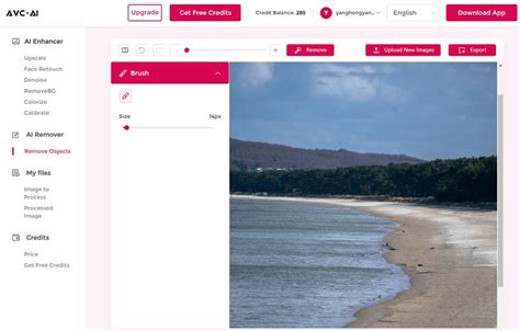 How to Remove Unwanted Objects from Photos Using Free Online Tools