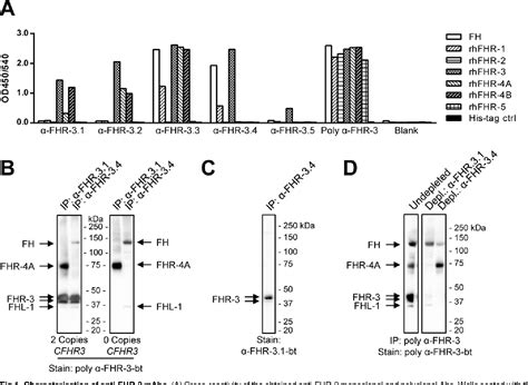 Figure 1 From Complement Factor H Related Protein 3 Serum Levels Are