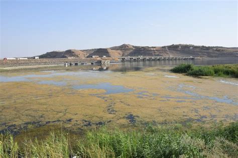 Significant Increase In Pollution Levels On The Two Banks Of The