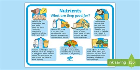 Year 6 All Nutrients Display Poster Teacher Made