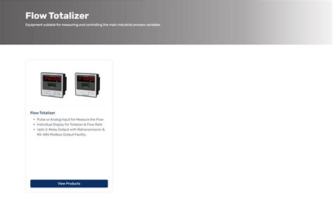 Flow Totalizer For Precise Process Control Multispan