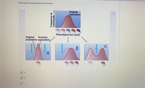 Solved Microevolution Is Defined As A The Process Where One