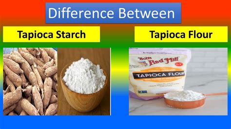 Difference Between Tapioca Flour And Tapioca Starch At Kate Wardill Blog